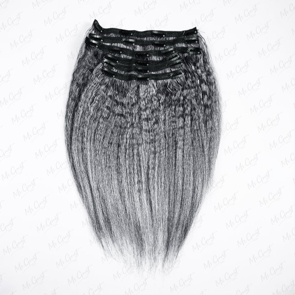 #44 Clip ins for Medium Gray Hair Color – msgreyt
